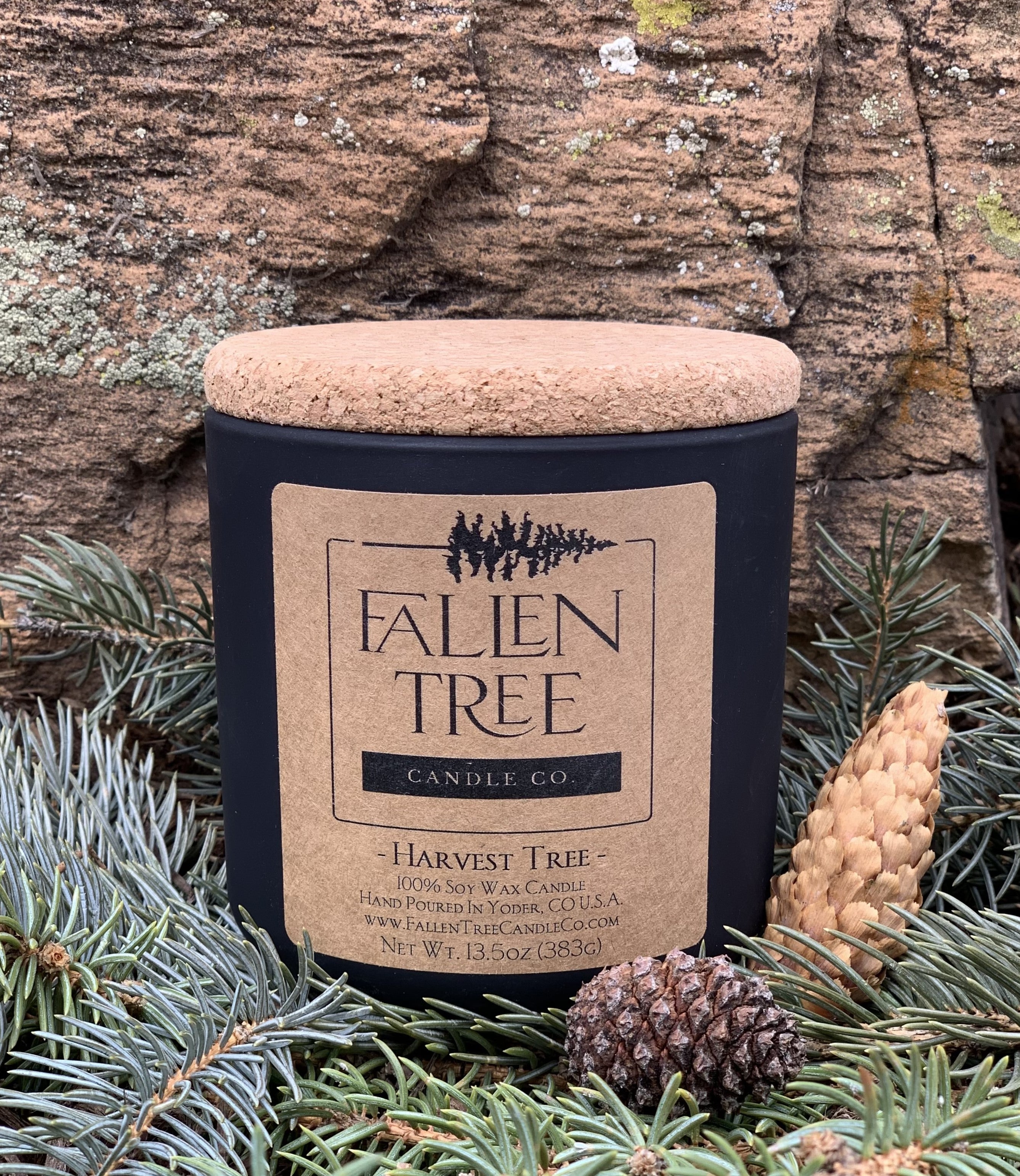 13.5 oz Harvest Tree – Fallen Tree Candle & Co.