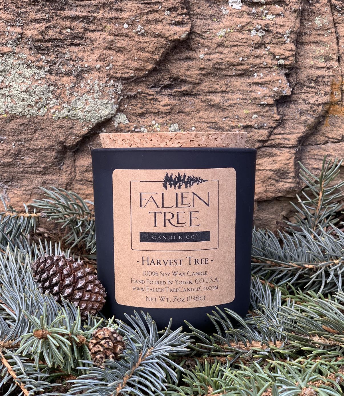 7 oz Harvest Tree – Fallen Tree Candle & Co.