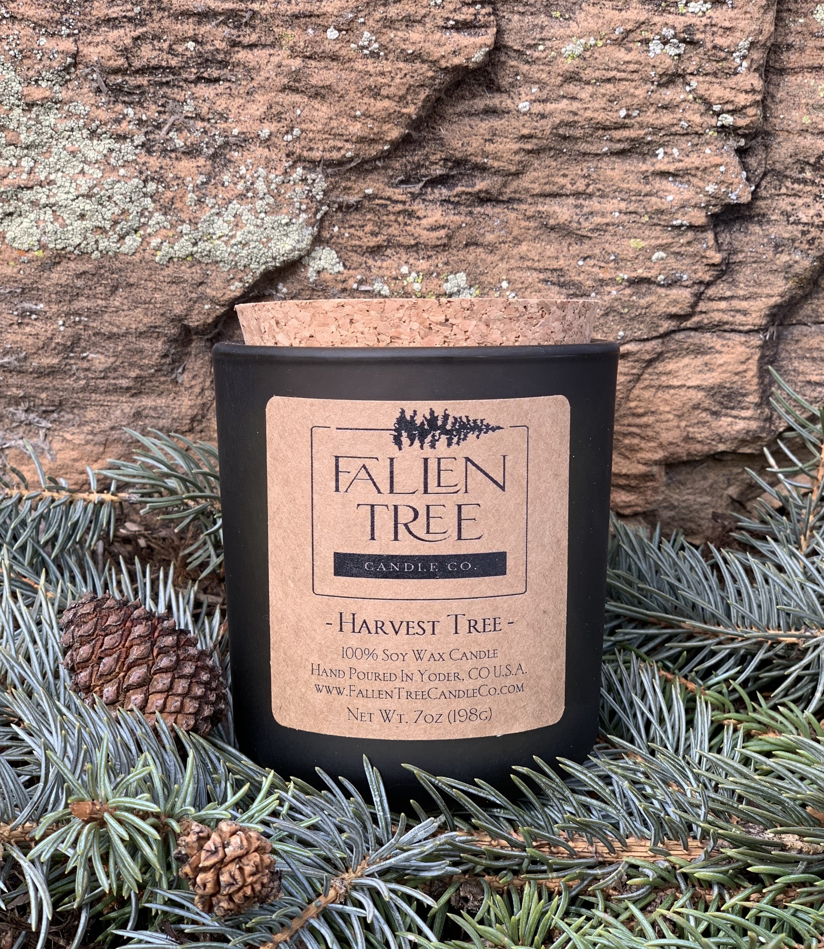 7 oz Harvest Tree – Fallen Tree Candle & Co.