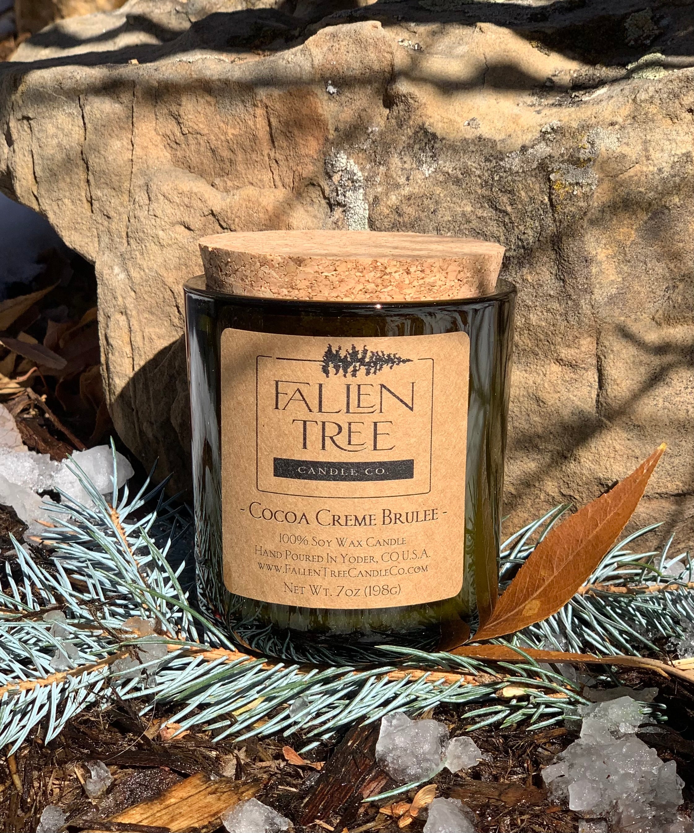 7 oz Cocoa Creme Brulee – Fallen Tree Candle & Co.