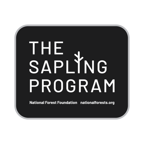 Fallen Tree Candle Co. – Fallen Tree Candle & Co.